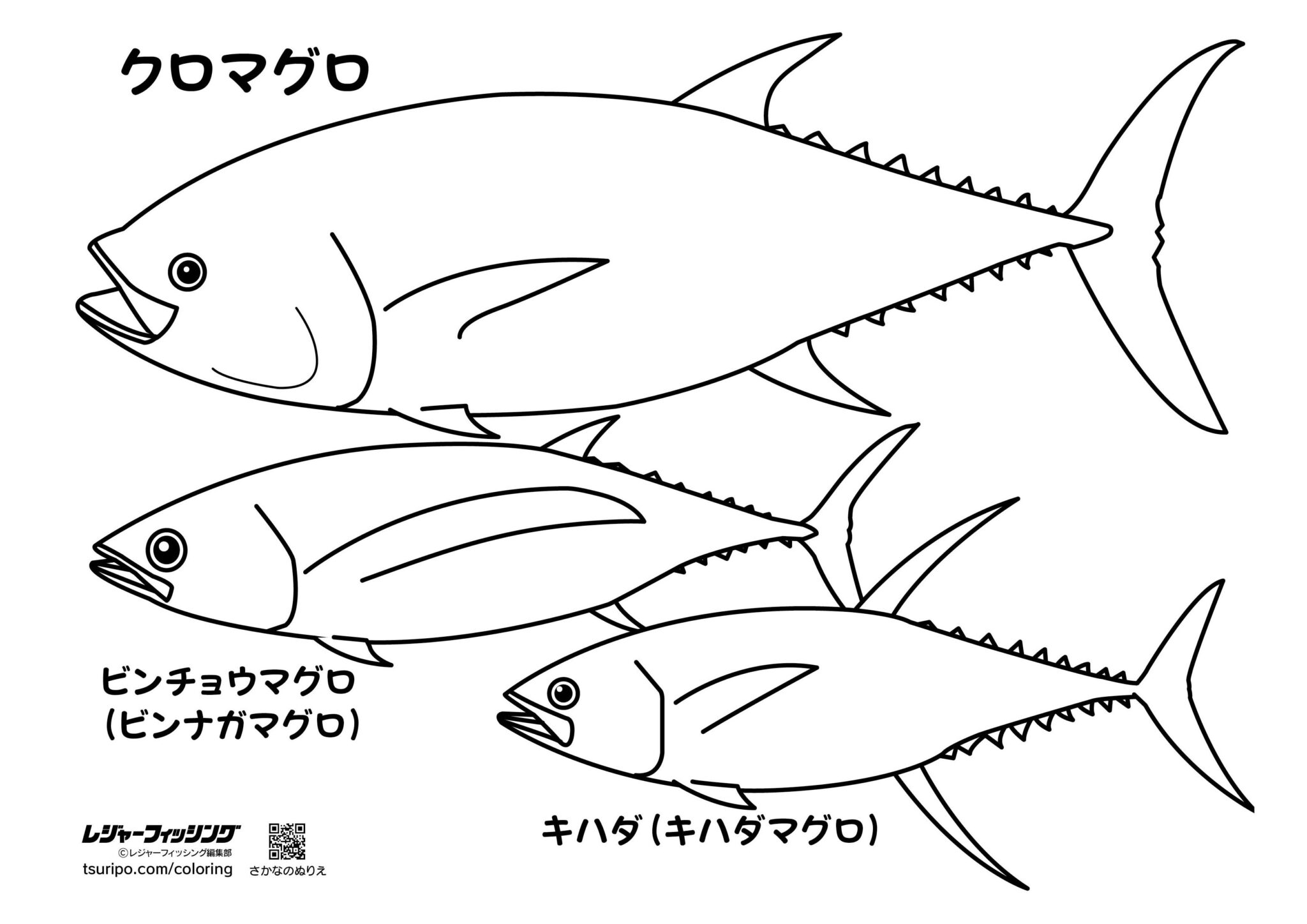 マグロのぬりえ さかなのぬりえ 魚の塗り絵 さかなのぬりえ（魚の塗り絵）